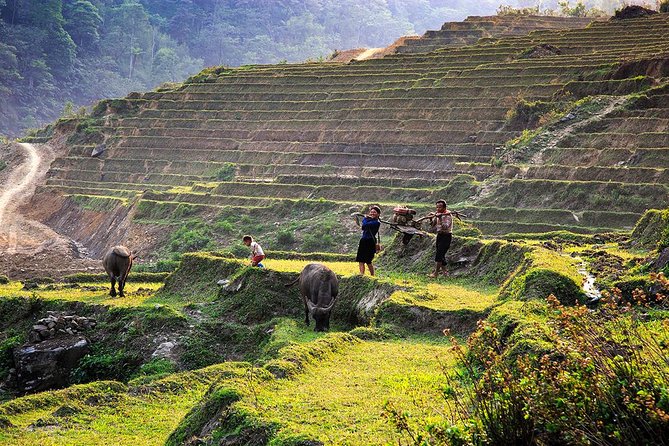 Trekking Through Rice Terraced Fields - 1Day - FAQ