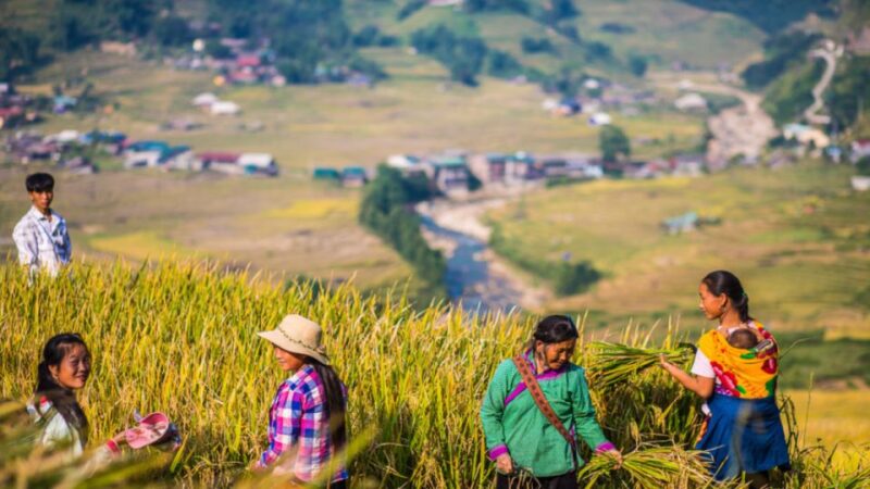 Trekking Through Rice Terraced Fields - The Experience Level and Group Size
