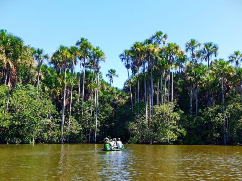Trekking through the jungle and Lake Sandoval | Full Day - An In-Depth Look at the Tour