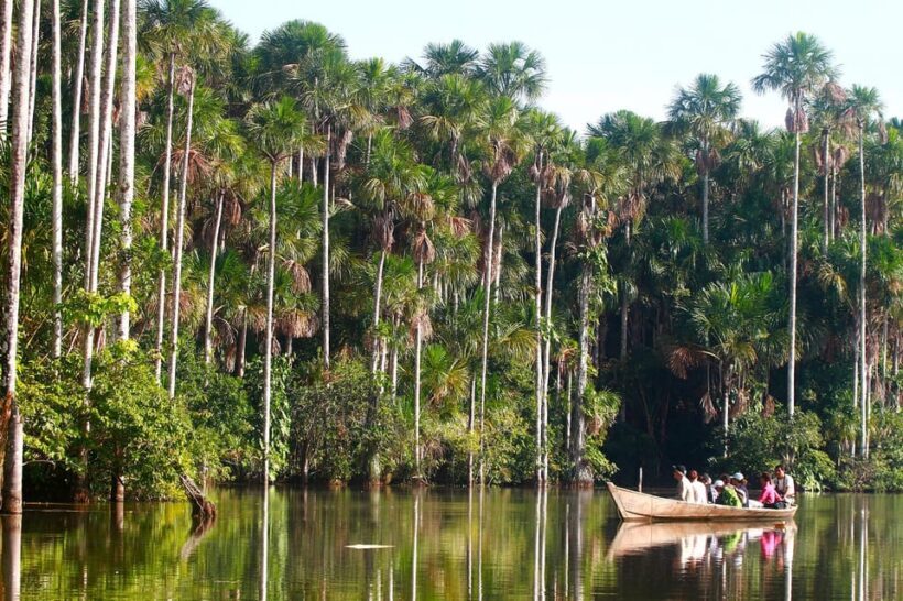 Trekking through the jungle and Lake Sandoval | Full Day - FAQs