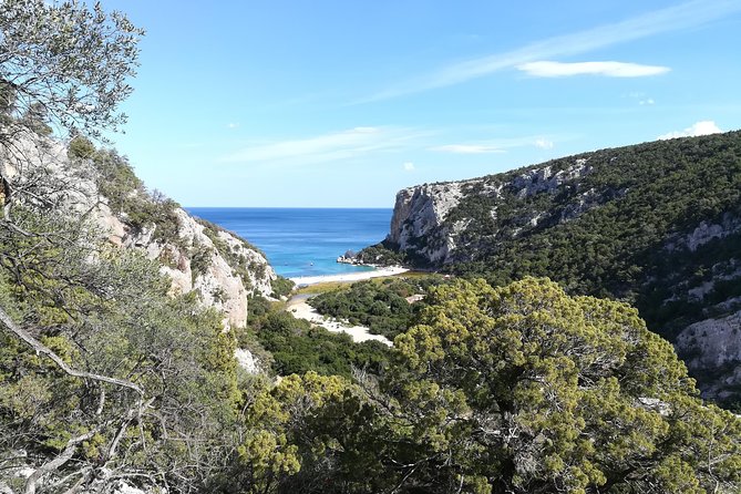 Trekking to Cala Luna: A Comprehensive Review - Catering to Diverse Fitness Levels and Needs