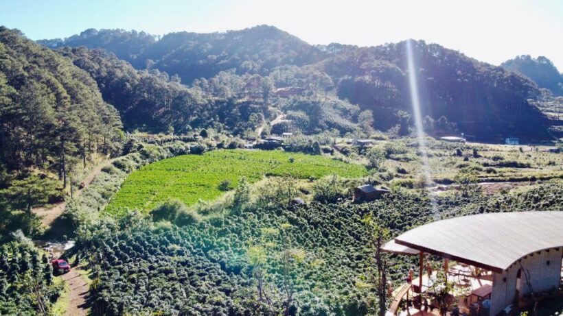 Trekking to Hidden Waterfall & Sturgeon Farm for dog-lovers - Introduction