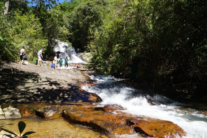 Trekking to Hidden Waterfall & Sturgeon Farm for dog-lovers - Key Points