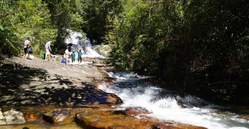 Trekking to Hidden Waterfall & Sturgeon Farm for dog-lovers - The Experience of Walking with Dogs