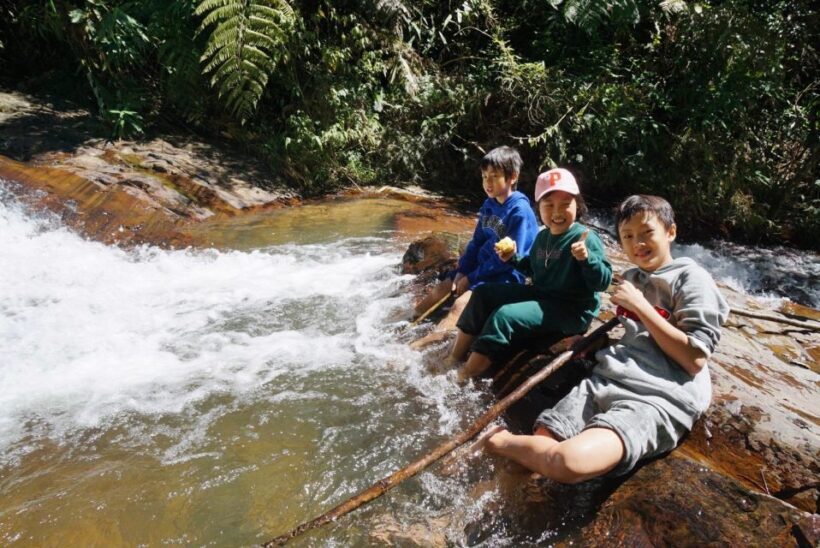 Trekking to Hidden Waterfall & Sturgeon Farm for dog-lovers - Practical Details and Considerations