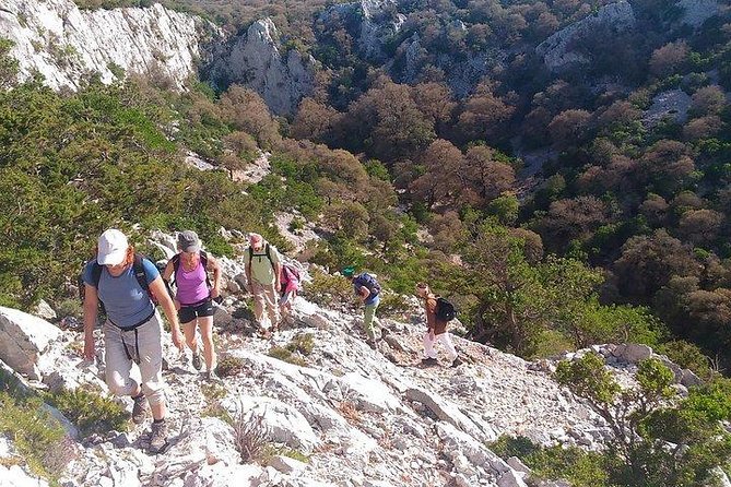 Trekking to Monte Tiscali - Oliena - Insights From the Local Guide