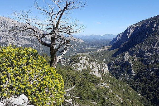 Trekking to Monte Tiscali - Oliena - Accessibility and Suitability