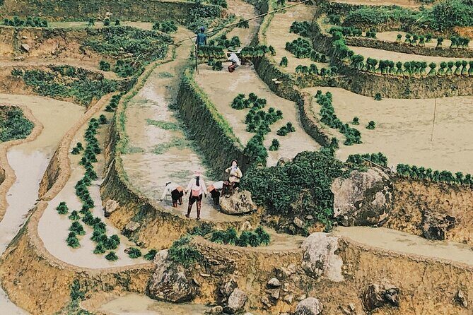 Trekking to Ta Phin, pick medicinal leaves and herbs. - Authenticity and Value