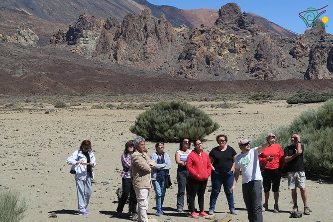Trekking, Wineries, Birdwatching, Local Gastronomy, Etc. - Accessibility and Additional Information
