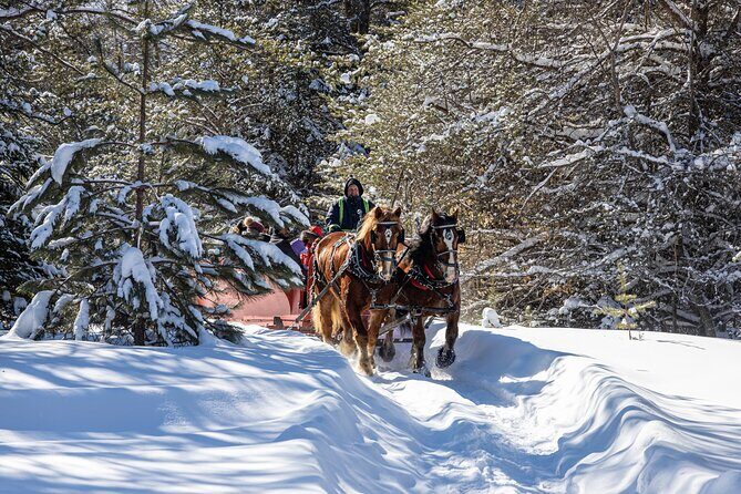 Tremblant Sleighride - What Makes It Special