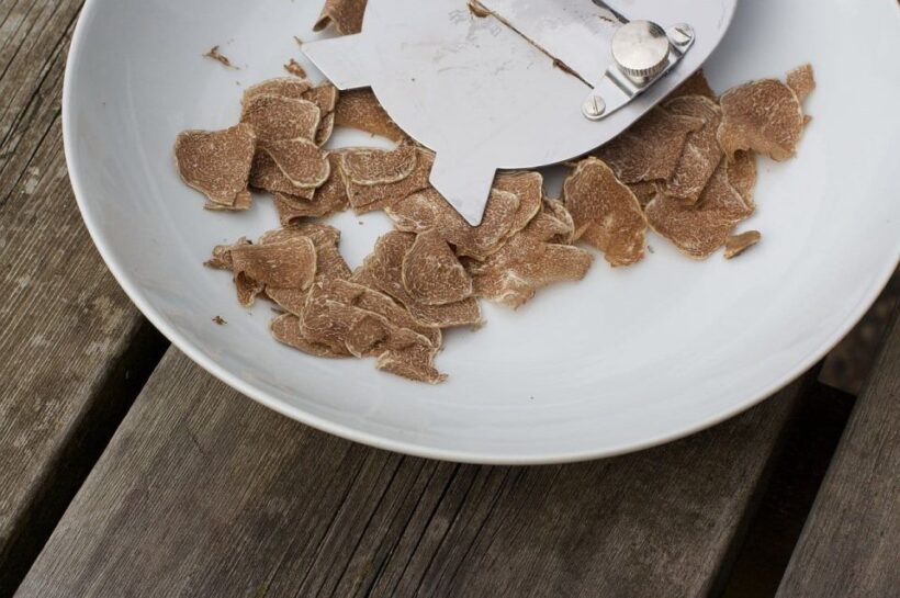 Trequanda: Tuscan Truffle Hunting Experience with Lunch - The Sum Up: Why It’s a Great Choice for Authentic Tuscany