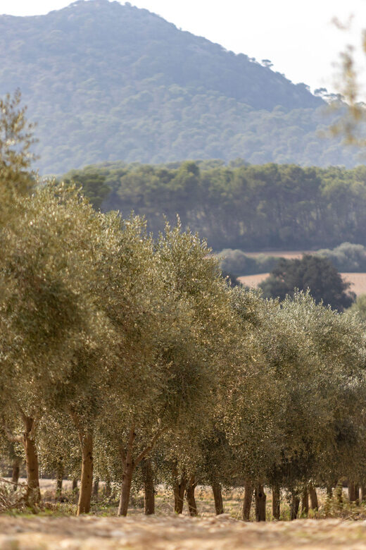 Treurer: Mediterranean barbecue Night - Final Thoughts