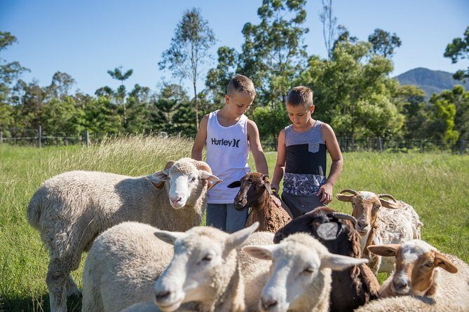 Trevena Glen 1hr Animal Tour - An In-Depth Look: What to Expect from the Trevena Glen Animal Tour