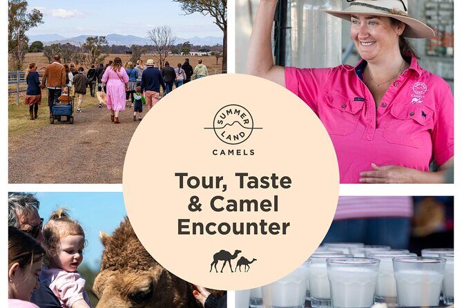 Trevena Glen 1hr Animal Tour - Final Thoughts: Is It Worth It?