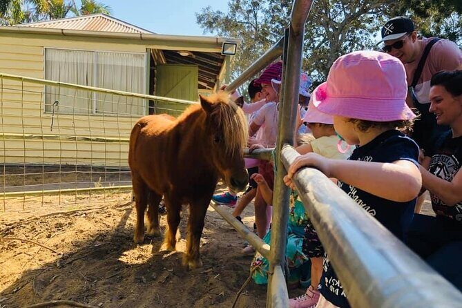 Trevena Glen 1hr Animal Tour - Who Should Consider This Tour?