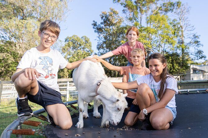 Trevena Glen Farm Animal Experience - Final Thoughts