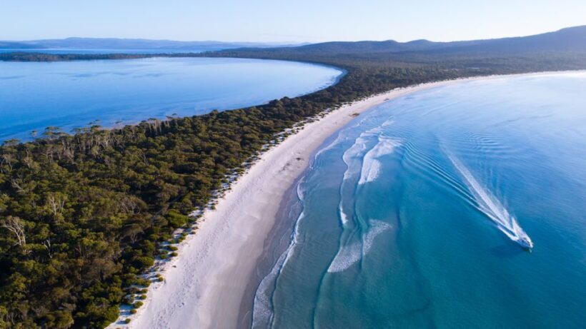 Triabunna: Maria Island and Ile Des Phoques Day Trip by Boat - Key Points