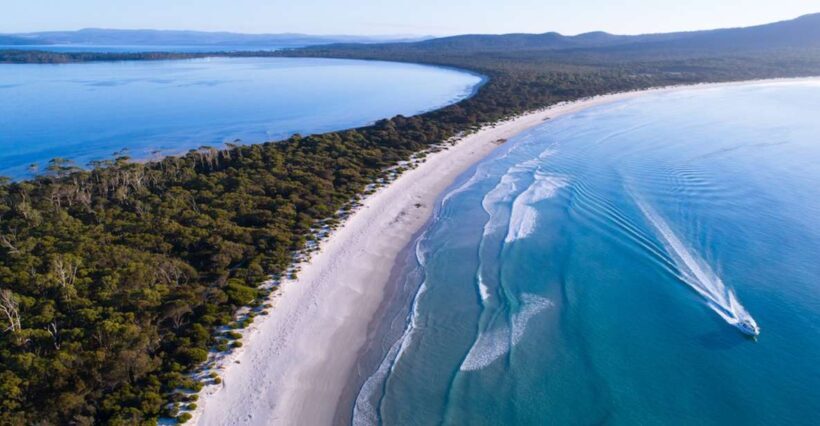 Triabunna: Maria Island and Ile Des Phoques Day Trip by Boat - Lunch and Refreshments