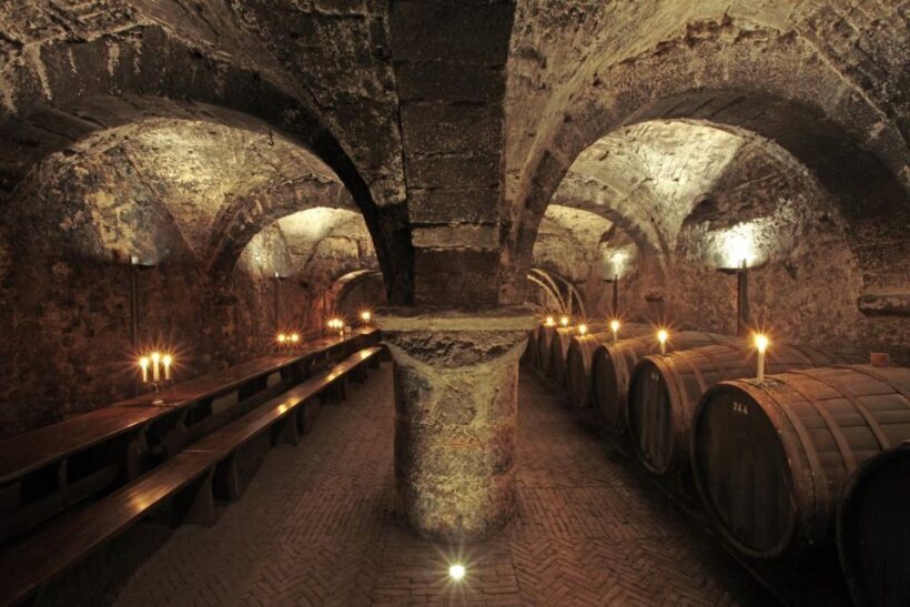Trier: Discovery tour - Germany's oldest wine cellar - Key Points