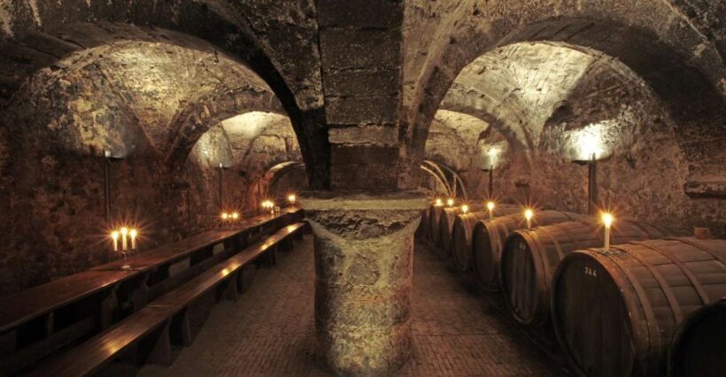 Trier: Discovery tour - Germany's oldest wine cellar - Why This Tour Is a Great Value