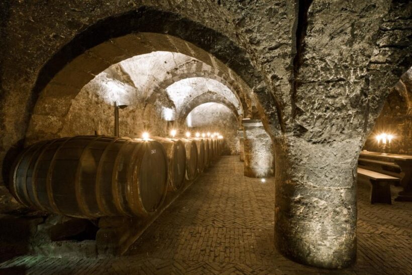 Trier: Discovery tour - Germany's oldest wine cellar - FAQ