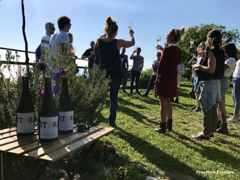 Trieste: 2.5-Hour Prosecco Origins Tour and Tastings - An In-Depth Look at the Prosecco Origins Tour