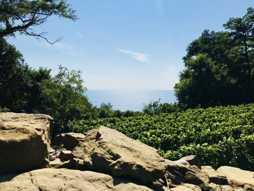 Trieste: 2.5-Hour Prosecco Origins Tour and Tastings - What’s Included and What to Consider
