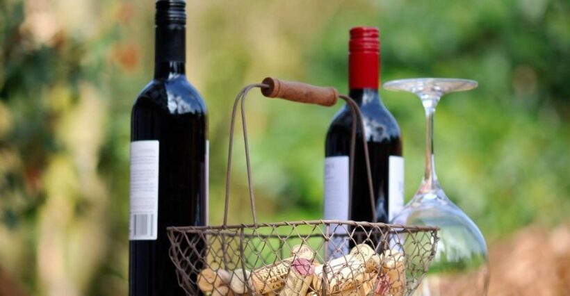Trieste: Cividale Del Friuli and Wine Tastings - Key Points