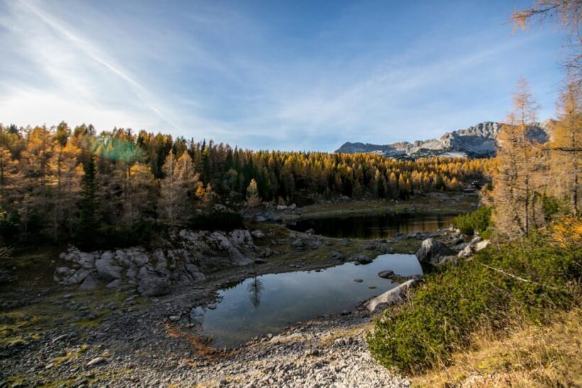 Triglav National Park: 7 Lakes Valley Hiking Tour - What’s Included and What to Expect