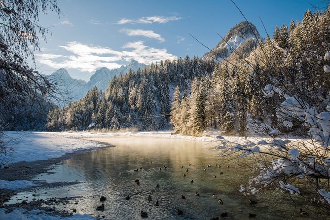 Triglav National Park and the Alps Private tour - The Thrill of Planica Nordic Centre