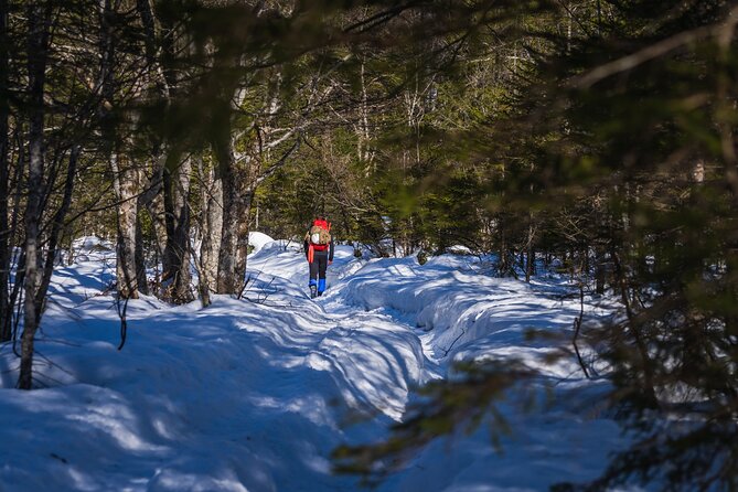 Triglav winter edition - Day 1: The Journey Begins in Krma