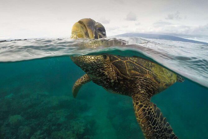 Trinco Tour A - Snorkeling & Island Hopping tour - Key Points