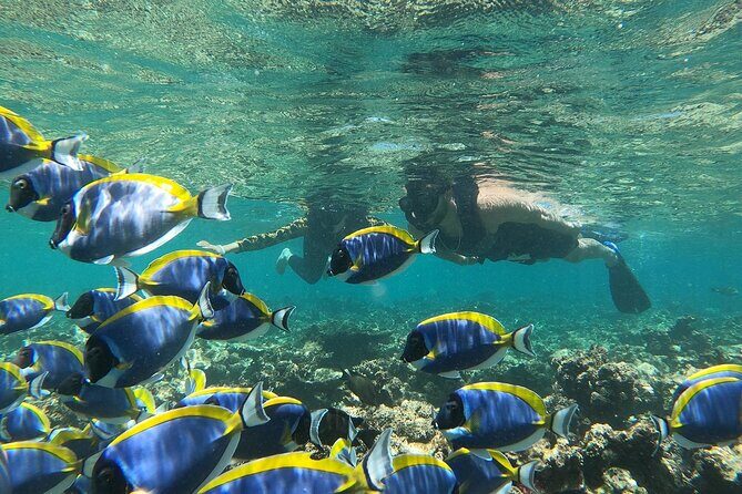 Trinco Tour A - Snorkeling & Island Hopping tour - FAQ