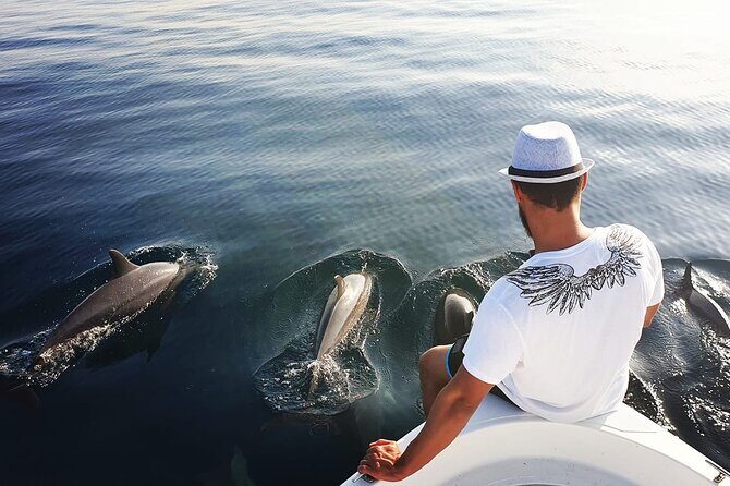 Trinco Tour B - Whales, Dolphins & Snorkeling tour - Introduction: An Authentic Look at the Trinco Tour B Experience