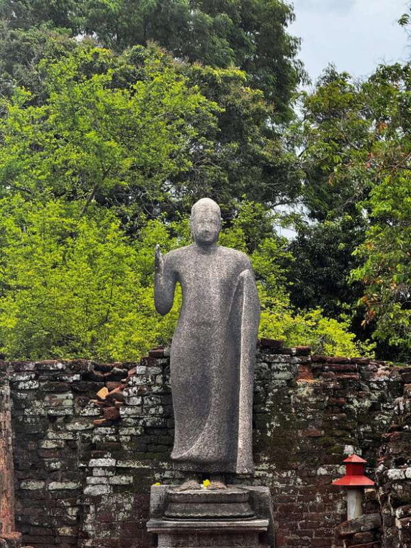 Trincomalee: 3-Day Luxury Escape with Whale Watching - Final Thoughts: The Best of Trincomalee in a Compact Package