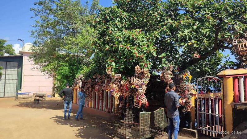 Trincomalee: City Tour with Koneswarm and Crocodile lake - What Past Travelers Say