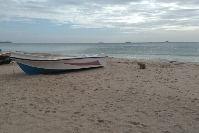 Trincomalee Day Tour From Kandy - Final Thoughts: Who Is This Tour Best For?