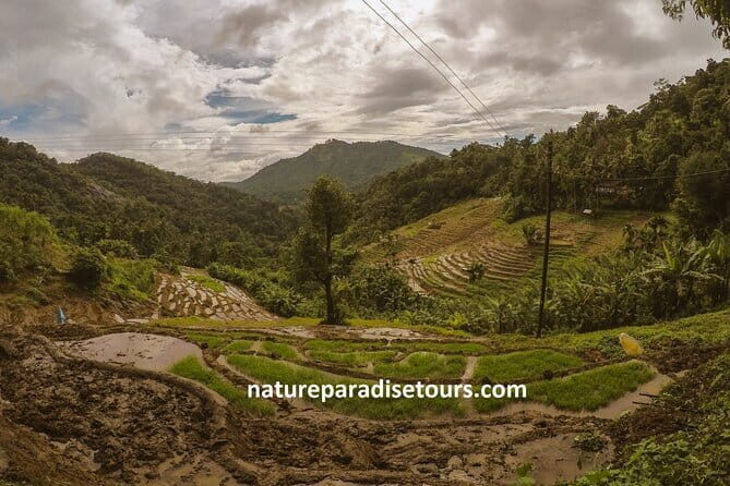 Trincomalee Day Tour From Kandy - FAQ: Your Quick Guide to the Trincomalee Day Tour