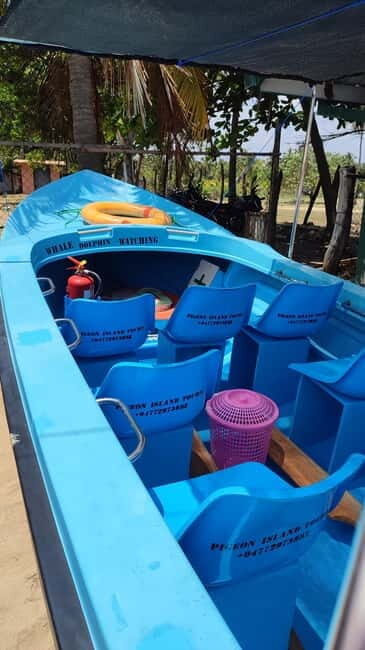 Trincomalee: Dolphin & Whale Watching Boat Tour - Key Points