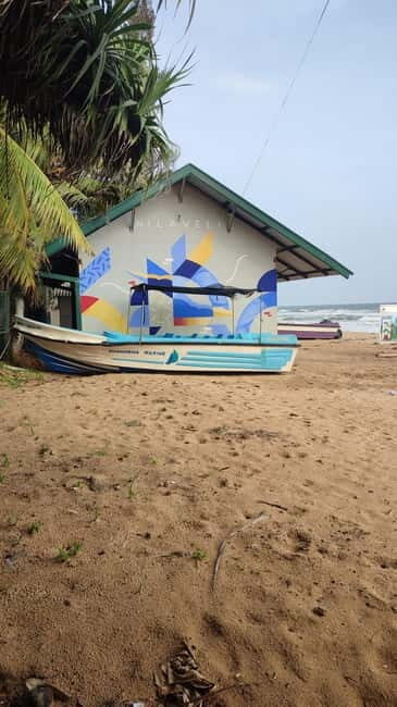 Trincomalee: Dolphin & Whale Watching Boat Tour - An Honest Look at the Experience