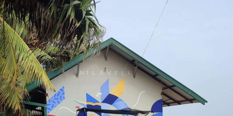 Trincomalee: Dolphin & Whale Watching Boat Tour - Value and Practicality