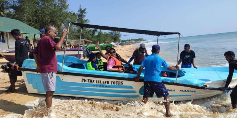 Trincomalee: Dolphin & Whale Watching Boat Tour - Who Should Consider This Tour?