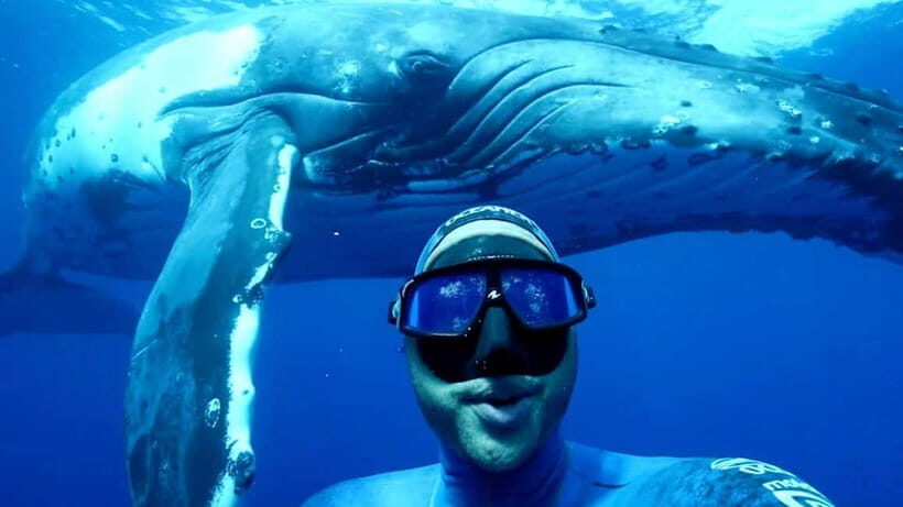 Trincomalee: Snorkeling Adventure with Whales - An In-Depth Look at the Tour Experience