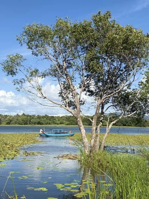 Trincomalee to Sigiriya:Rural Village Tour & Elephant Safari - Who Should Take This Tour?