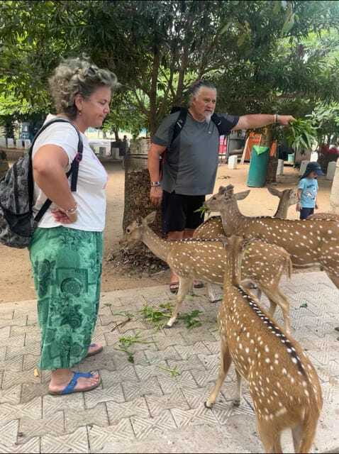 Trincomalee: Tuk-Tuk city tour with a guide - Practical Tips for Travelers