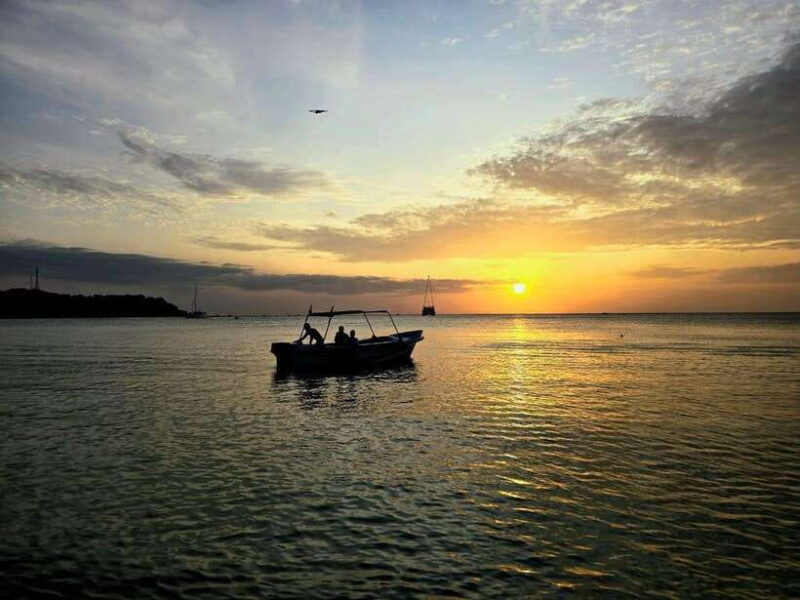 Trincomalee : Whale & dolphin watching +pigeon island tour - Practical Tips for Participants