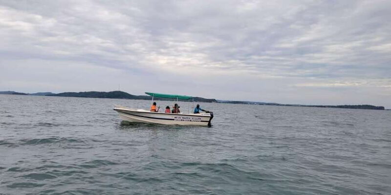 Trincomalee: Whales & Dolphin Watching Tours - The Sum Up: Is This Tour Right for You?