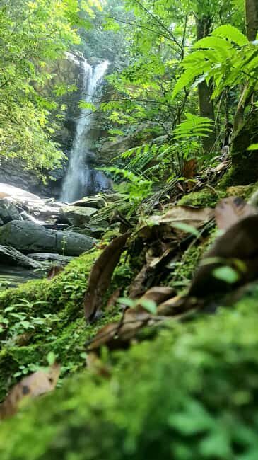 Trinidad: Avocat Waterfall and Maracas Bay Beach Tour - The Sum Up