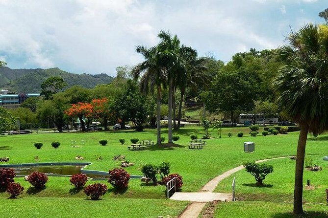Trinidad Highlights Tour from Port of Spain - FAQ