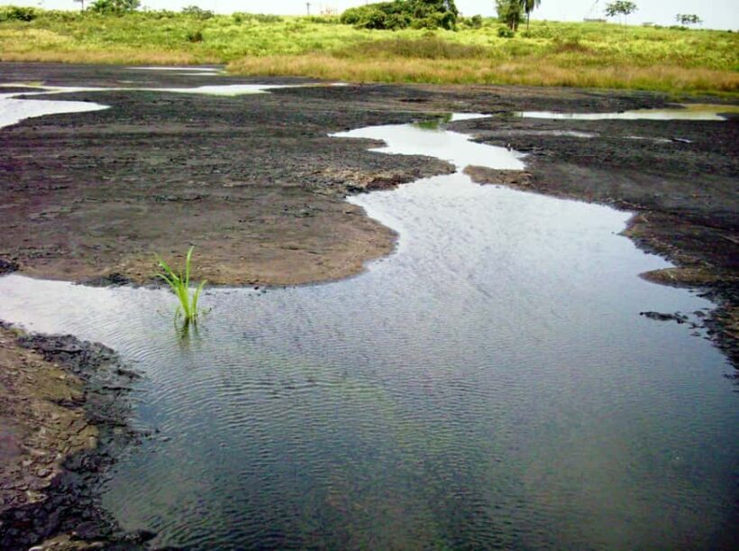 Trinidad: Pitch Lake and Chaguanas Sightseeing Tour - Exploring Central Trinidad: A Genuine Taste of Island Life